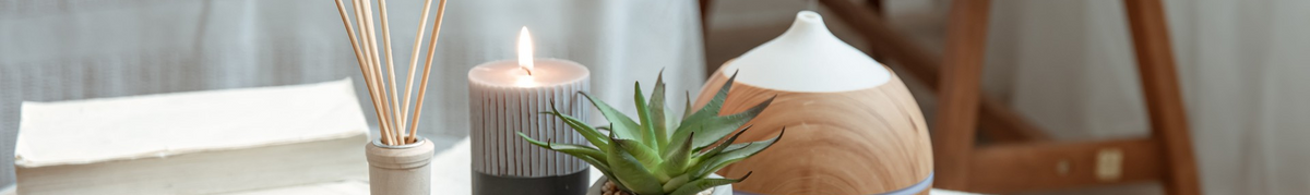 Mist Diffusers & Essential Oils – Alieva Spa